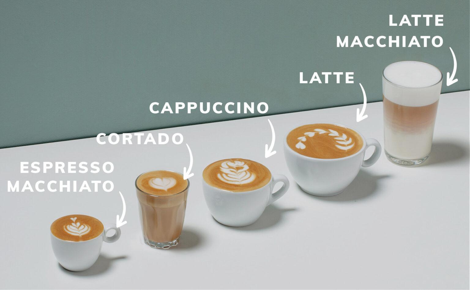 Tipi di caffè: quali sono le diverse ricette? - MaxiCoffee